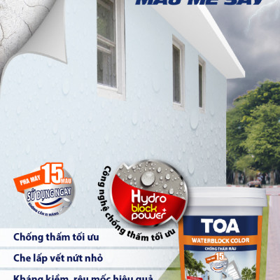 TOA WATERBLOCK COLOR - YOUR NEW COLORFUL WATERPROOFING TOA PAINT VIETNAM